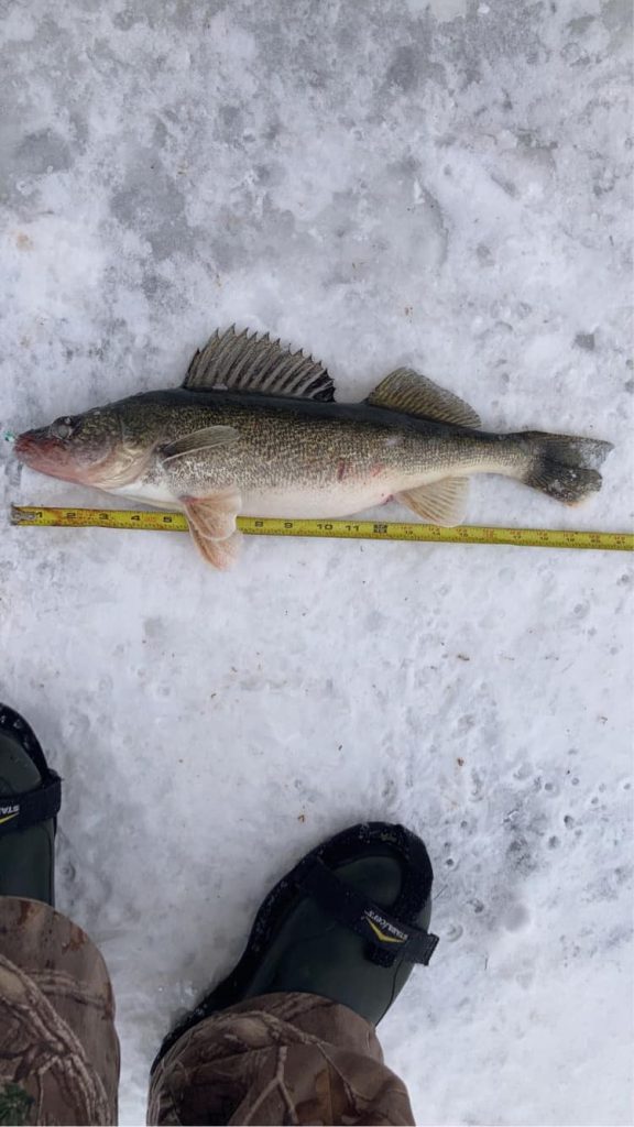Ludington Fishing Reports - Visit Ludington