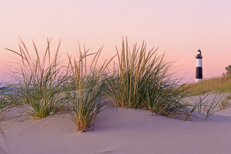 Dune Grass Concessions in Ludington State Park - Visit Ludington